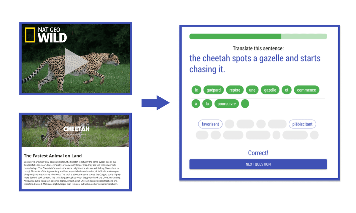 Roshi - Lessons in 1 Click